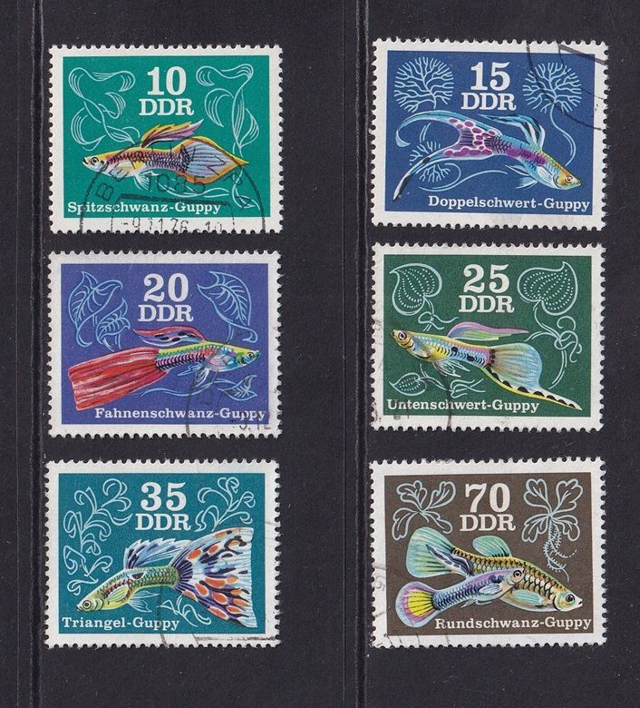 German Democratic Republic DDR #1769-1774 used 1976 fish ; guppies ...
