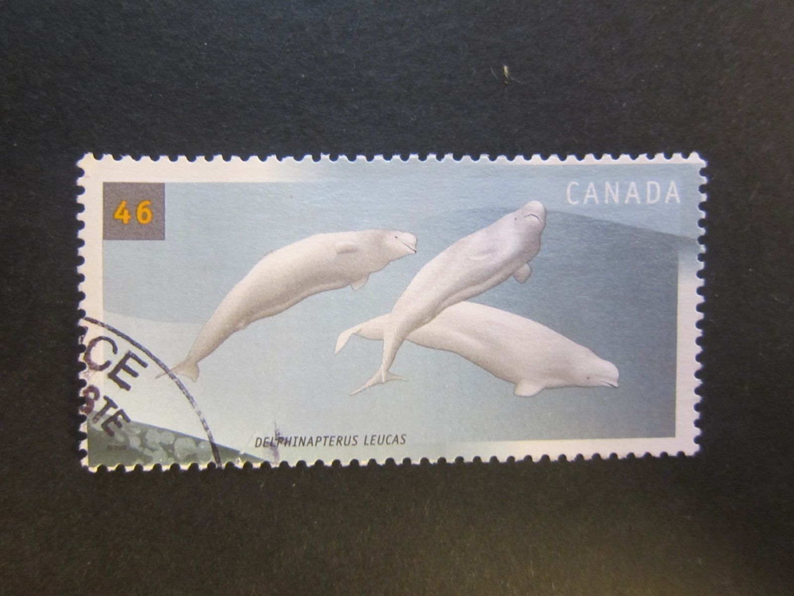 Canada #1871 Whales Nice stamps {ca991} | Canada, General Issue Stamp ...
