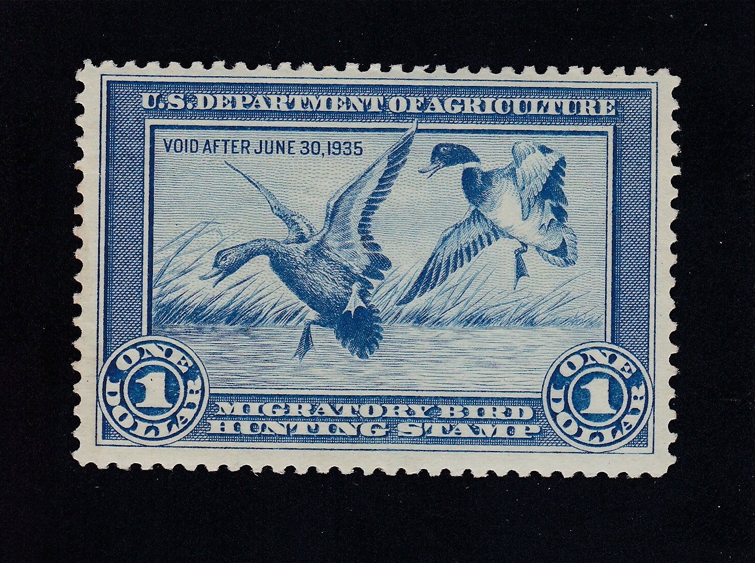 US RW1 $1 Duck Hunting Mint VF OG LH SCV $300 | United States, Duck ...