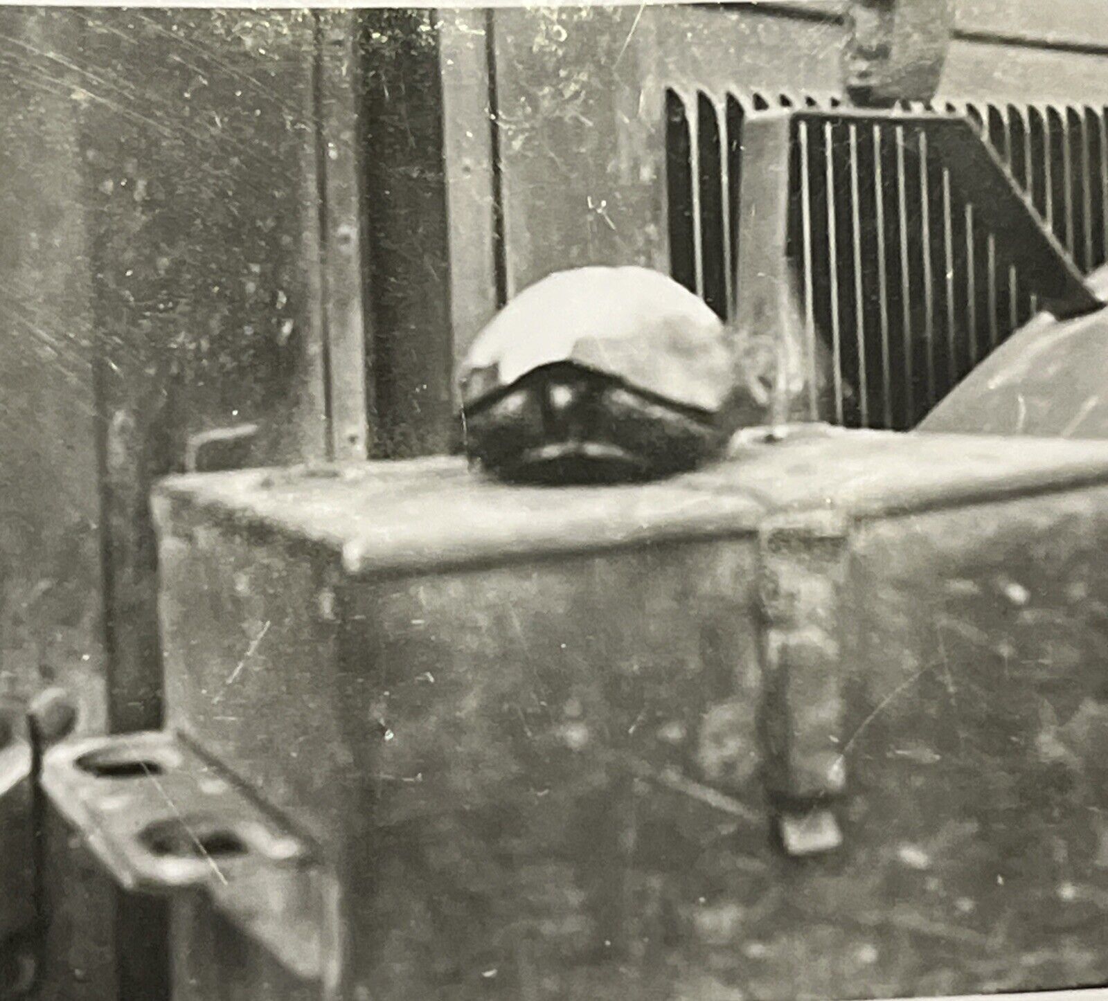 Turtle In It’s Shell WW2 WWII German Nazi Third Reich Photo Picture ...