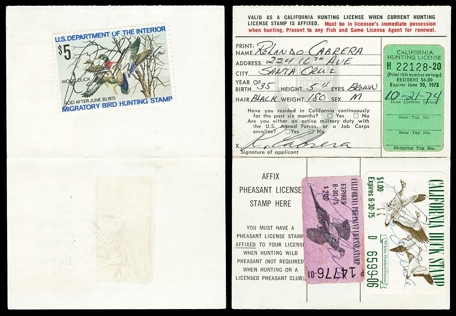 Scott RW41, CA4 1974 Duck Stamps Used on a California Hunting License ...