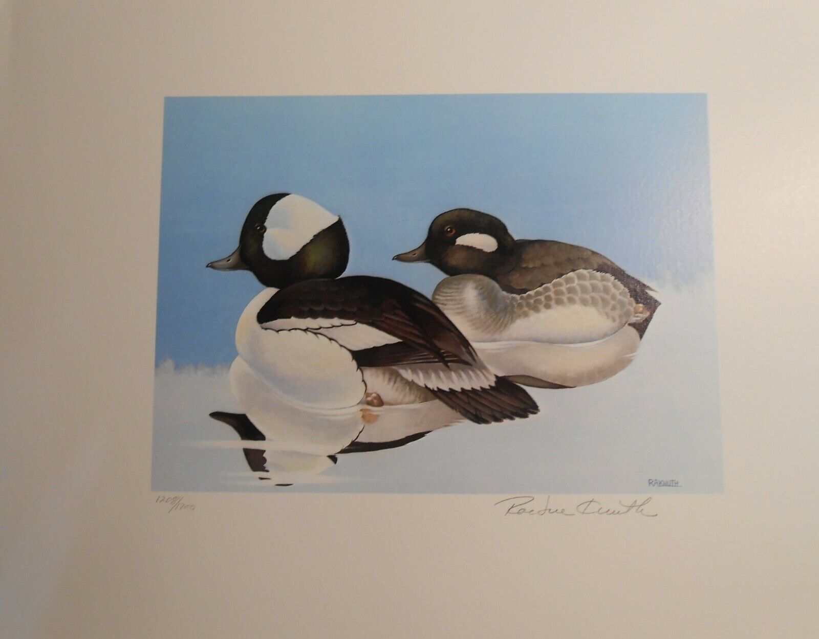 WI2 - Wisconsin State Duck Print. With Artist Signed Stamp & Folio. #02 ...