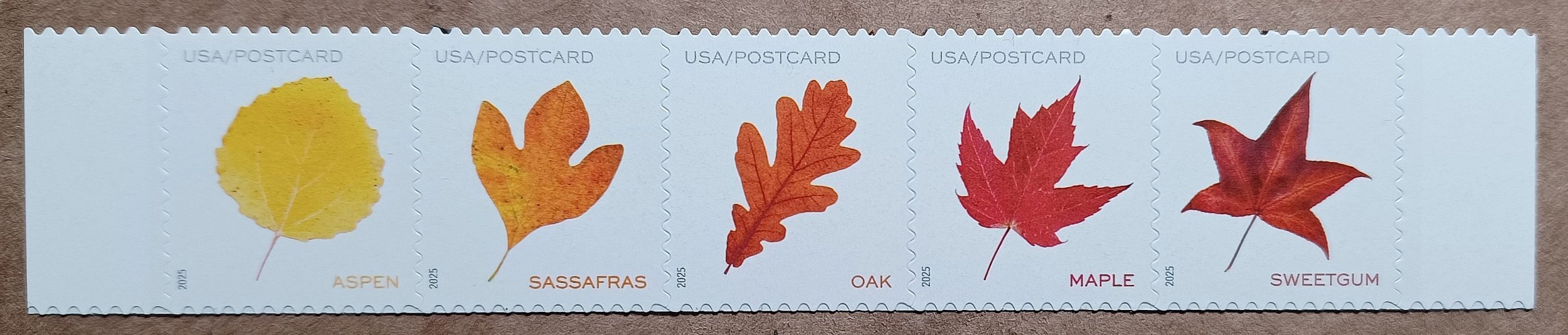 United States (56c) Vibrant Leaves Postcard Rate MNH strip of 5 (2025 ...
