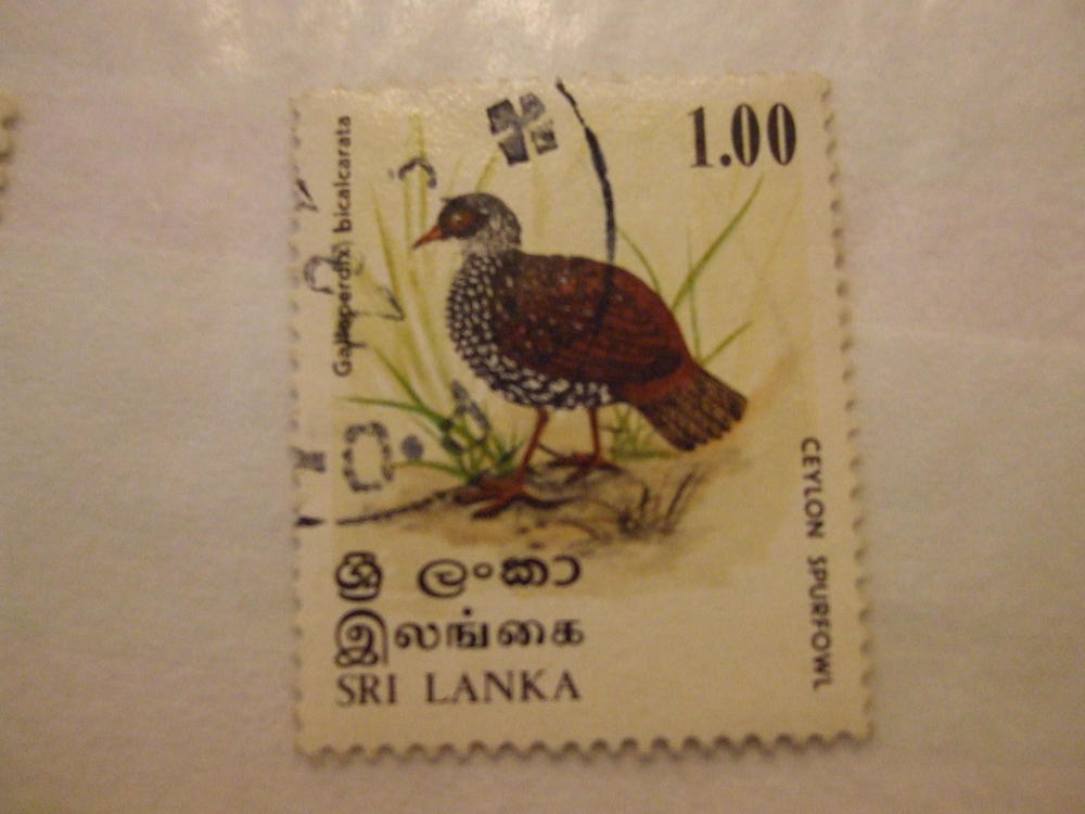 Sri Lanka #567 used (reference 1/9/5/1) | Asia - Sri Lanka, General ...