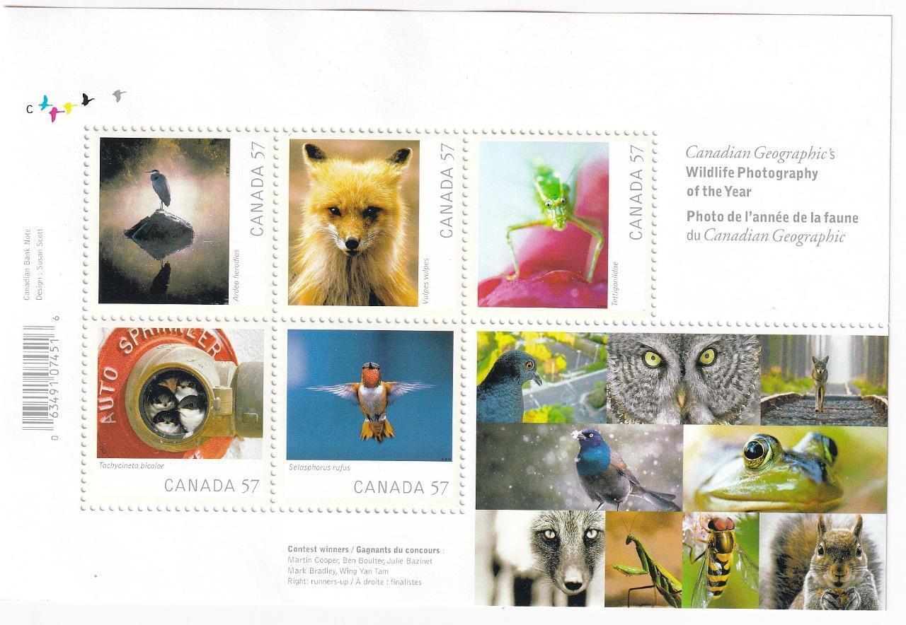 Canada Superb Canadian Geographic Wildlife Photography of the Year S ...