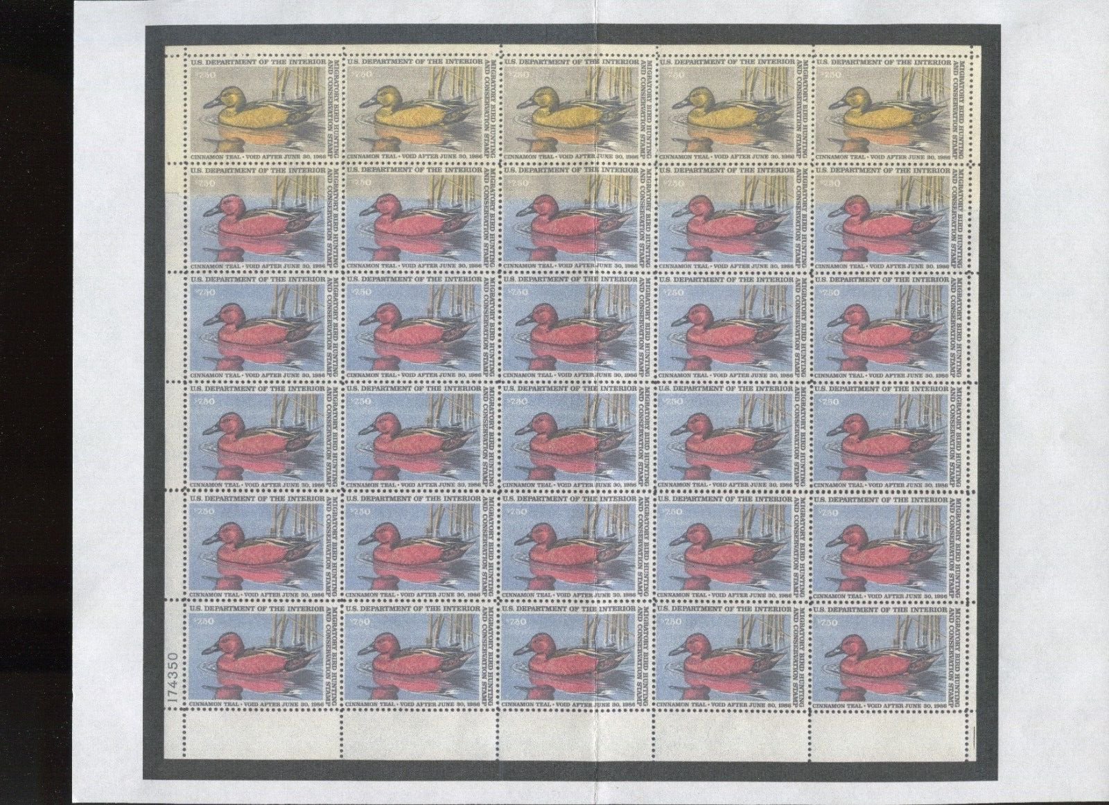 RW52a Cinnamon Teal Duck Stamp Light Blue Color Omitted ERROR Stamp ...