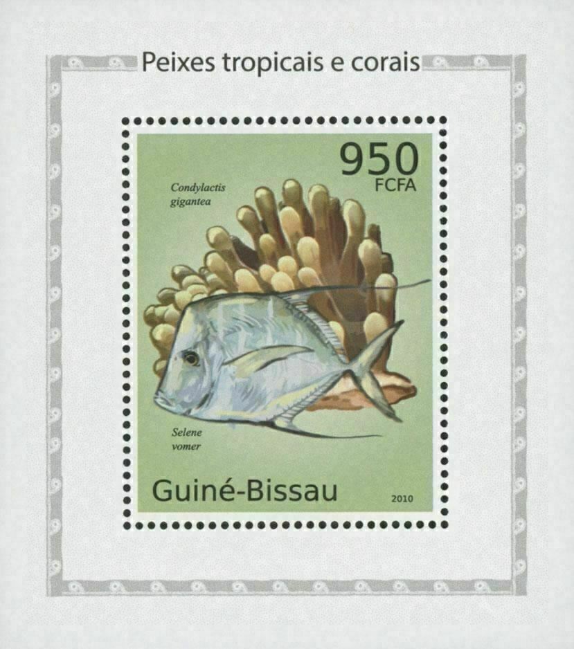Tropical Fish Stamp And Corals Lookdown Mini Sov. Sheet MNH | Worldwide ...