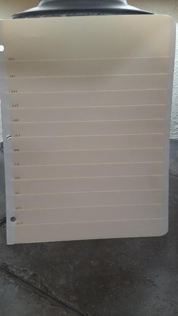 USED Pack of 20 Manila 12 Row Stock-pages for 3-Ring Binders ...