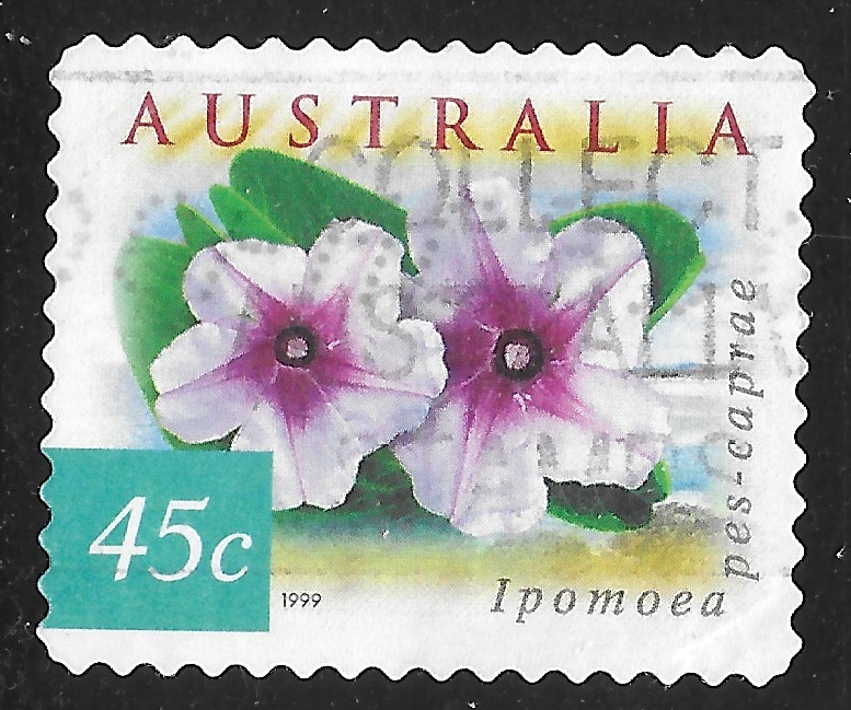 Australia #1742C 45c Flora & Fauna - Flowers - Ipomoea Pescaprae ...