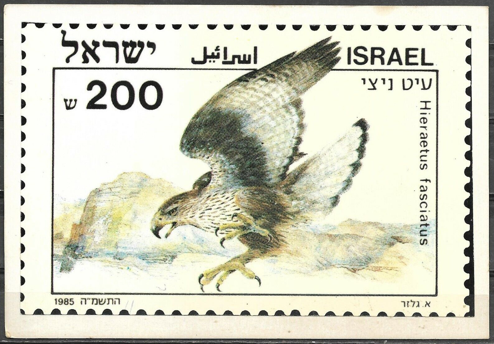 Israel 1985 Eagle Hawk Stamp On Postcard Bird By Mougrabi Stamps ...