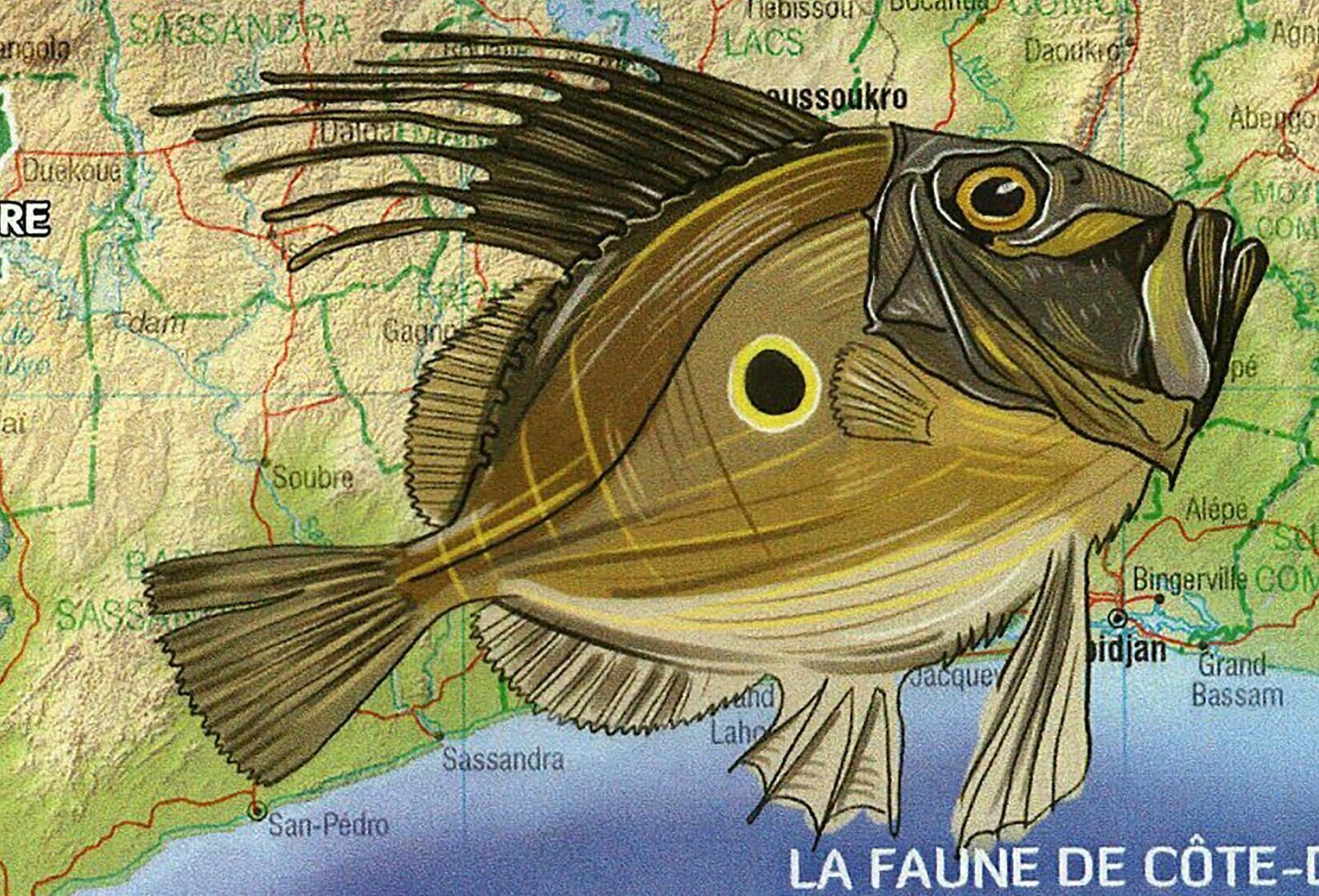 Fishes Stamp Antigonia Capros Marine Fauna S/S MNH #1509 | Worldwide ...