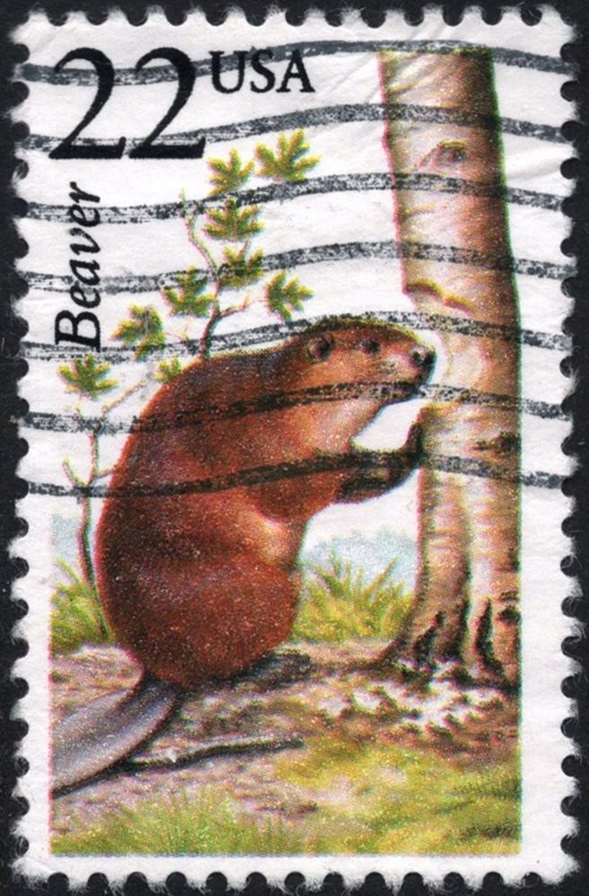 SC#2316 22¢ North American Wildlife: Beaver (1987) Used | United States ...