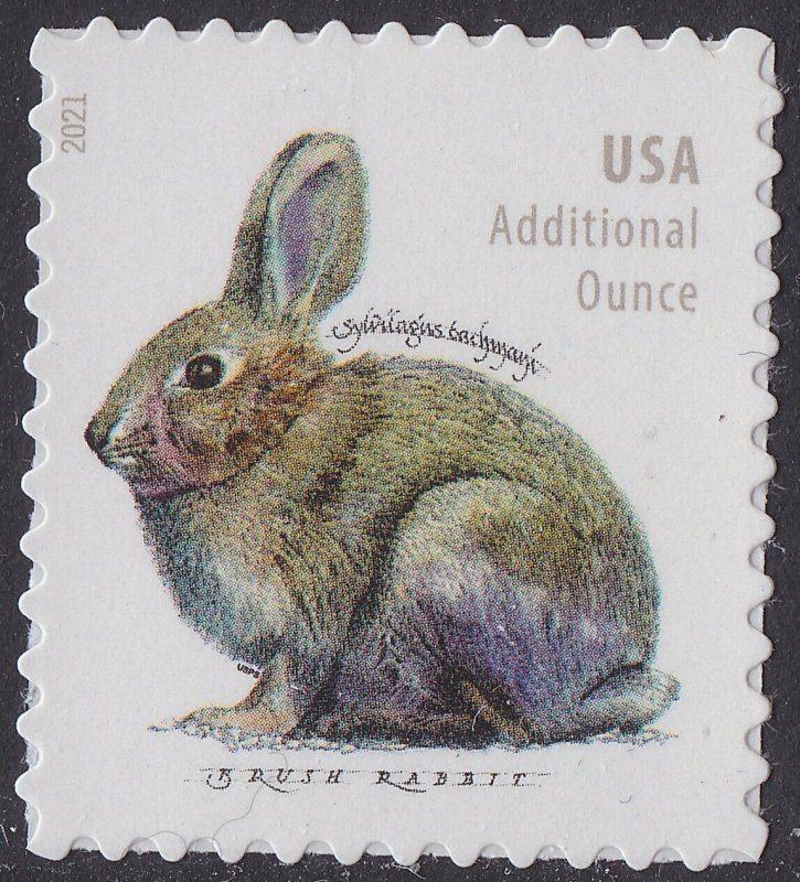 US 5544 Brush Rabbit additional ounce single (1 stamp from sheet) MNH ...