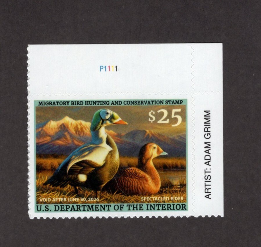 RW92 - Federal Duck Stamp. Plate Numbered Single. #02 RW92PNSTR ...