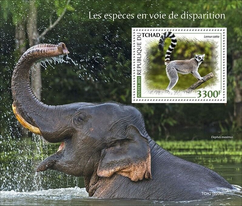 Chad 2021 MNH Wild Animals Stamps Endangered Species Ring-Tailed Lemurs ...