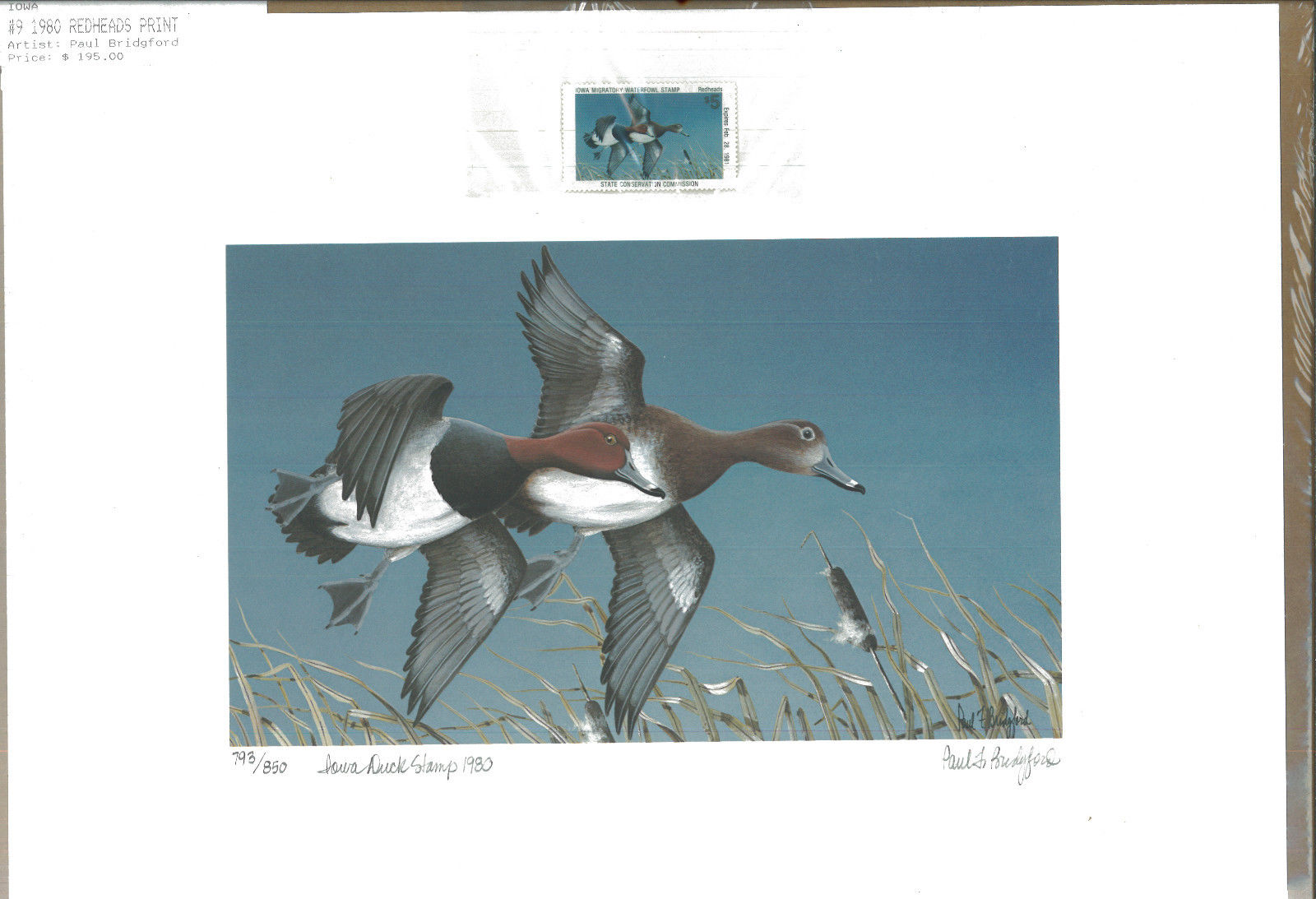 IOWA #9 1980 STATE DUCK STAMP PRINT REDHEADS by Paul Bridgeford ...