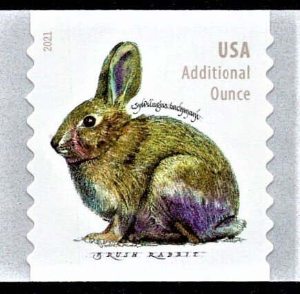 US 5545 MNH VF/XF 20 Cent Additional Ounce Brush Rabbit | United States ...