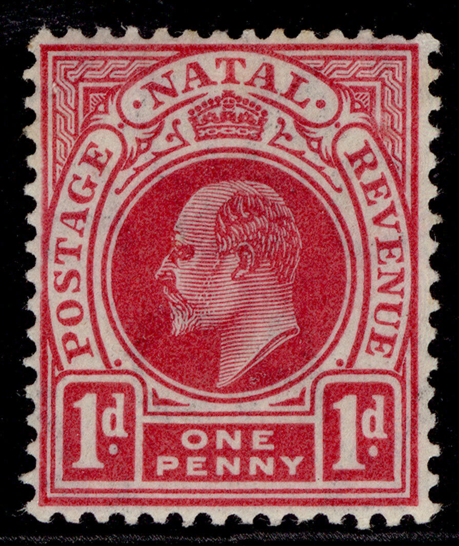 SOUTH AFRICA - Natal EDVII SG147, 1d carmine, M MINT. Cat £12. | Africa ...