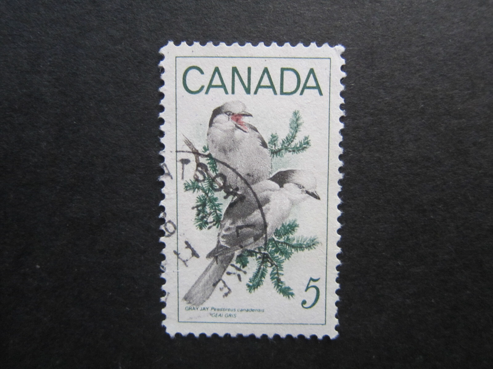 Canada #478 Wildlife Gray Jays Birds Nice stamps {ca397} | Canada ...