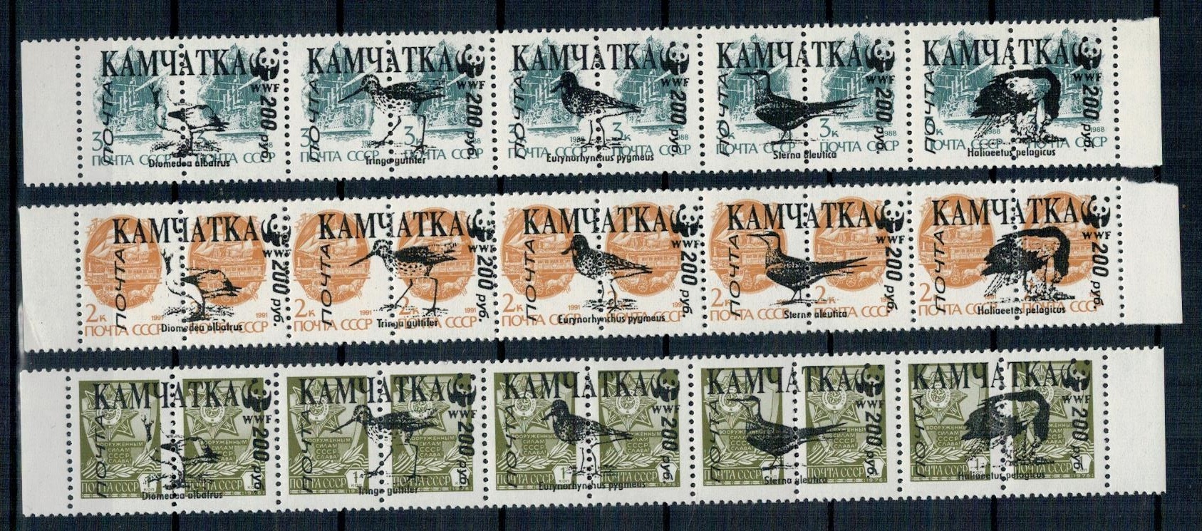 Russia Kamchatka 1993 MNH Local Stamps Birds WWF Overprints | Europe ...