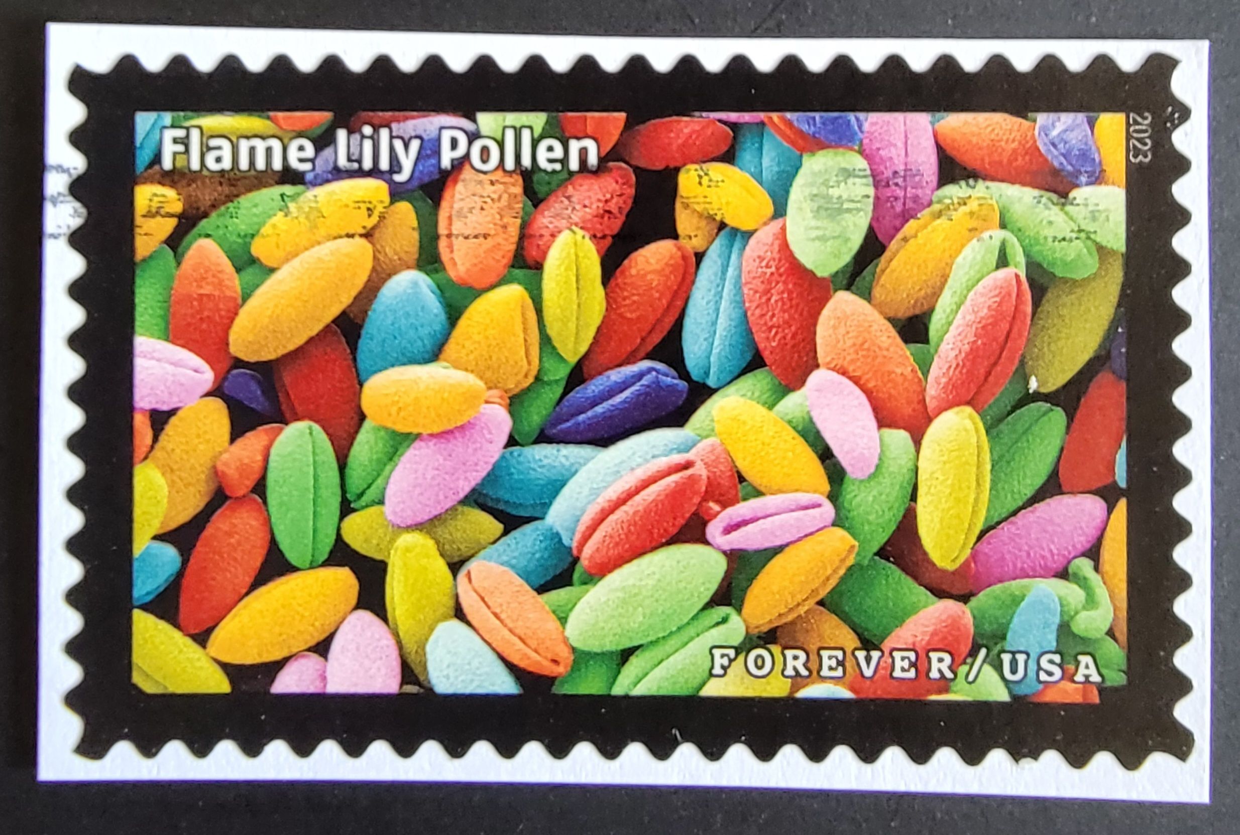 US 5802s (2023 Life Magnified - Flame Lily Pollen) | United States ...