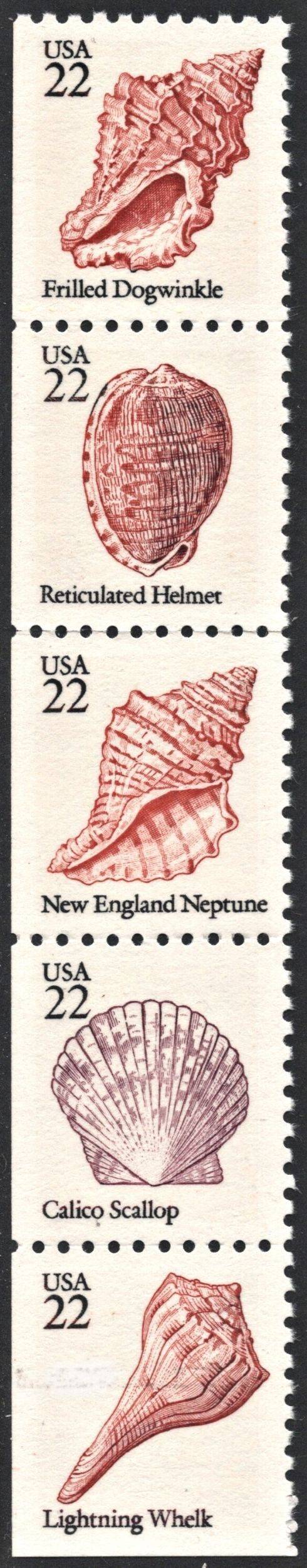 SC#2117-21 22¢ Seashells Strip of Five (1985) MNH* | United States ...