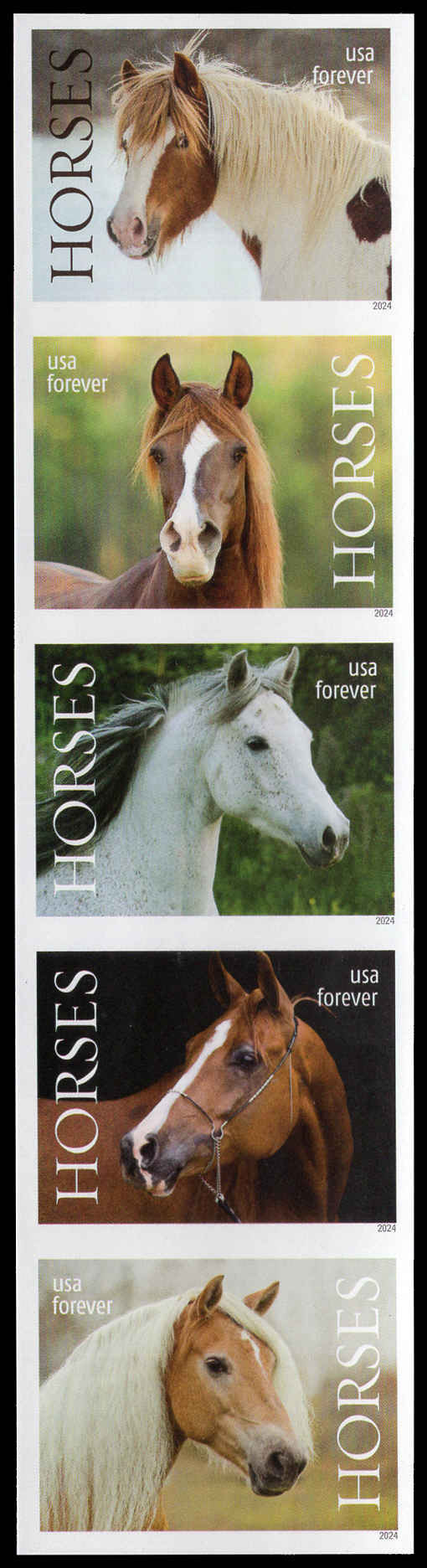 USA 5895c,5891a-5895a Mint (NH) Horses Strip/5 IMPERF Forever Stamp ...