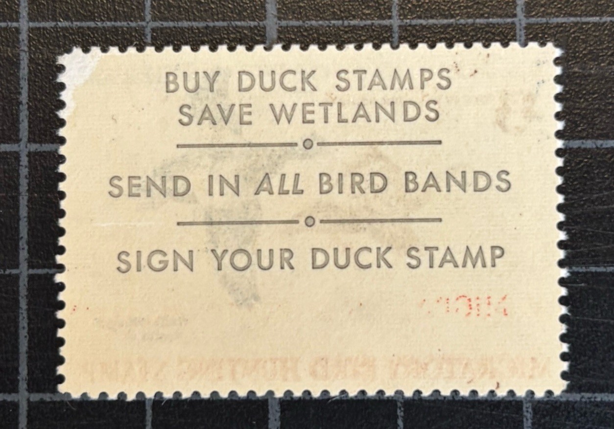 US Stamps - SC# RW36 - Duck Stamp - MOG Gum Disturbed - SCV $65.00 ...