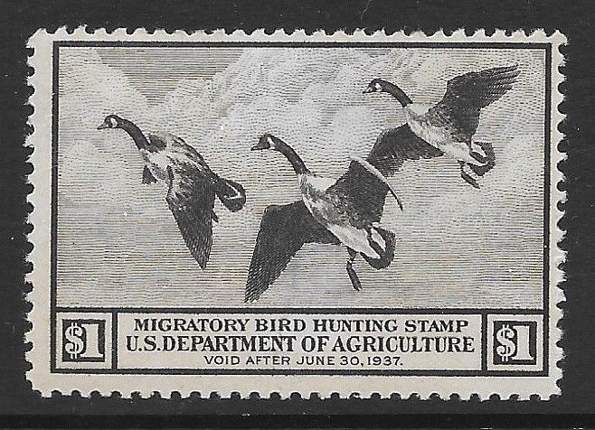 RW3 VF MNH OG-1936 FEDERAL DUCK HUNTING STAMP! (REM #RW3-415) / HipStamp