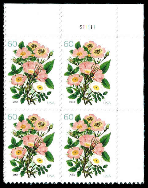 PCBstamps US #3837 PB $2.40(4x60c)Flowers-Pink Roses, MNH, (PB-2 ...