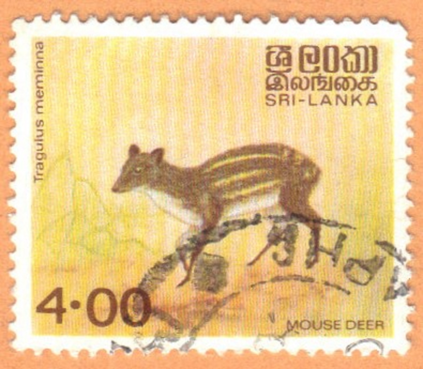 SRI LANKA SC# 730 1981 4r MOOSE DEER SEE SCAN / HipStamp