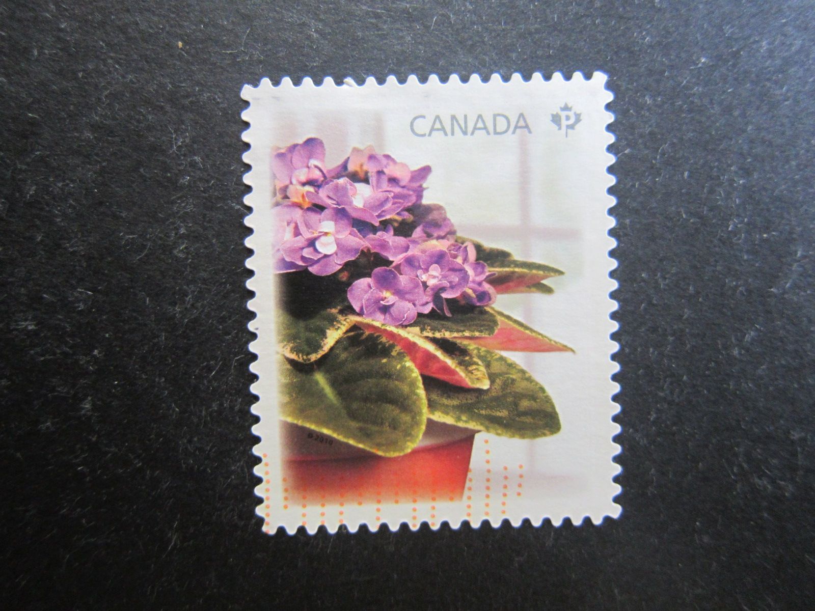 Canada #2378 African Violets stamps {ca1539} | Canada, General Issue ...