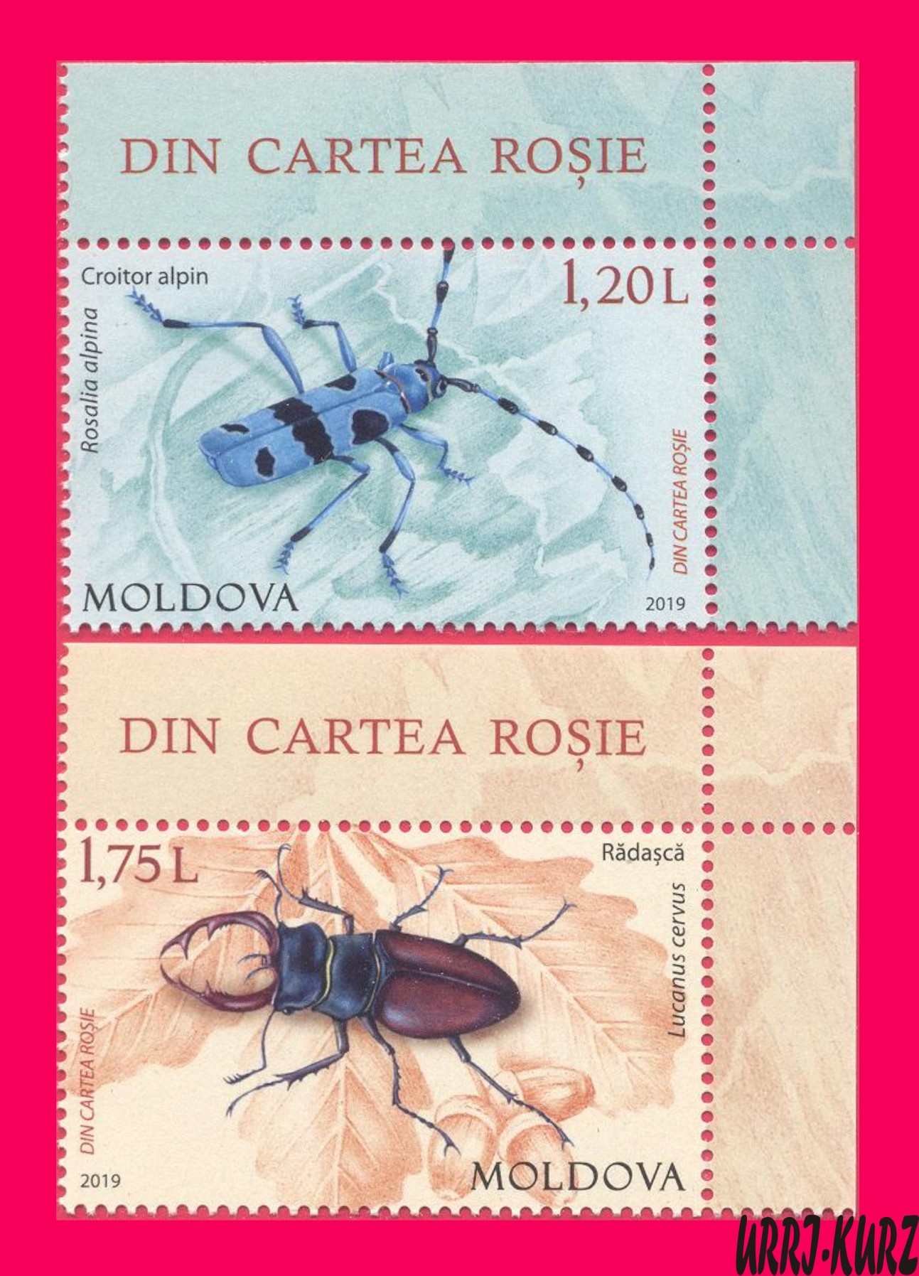 MOLDOVA 2019 Fauna Insects Beetles Rosalia Alpina Lucanus Cervus(Beetle ...