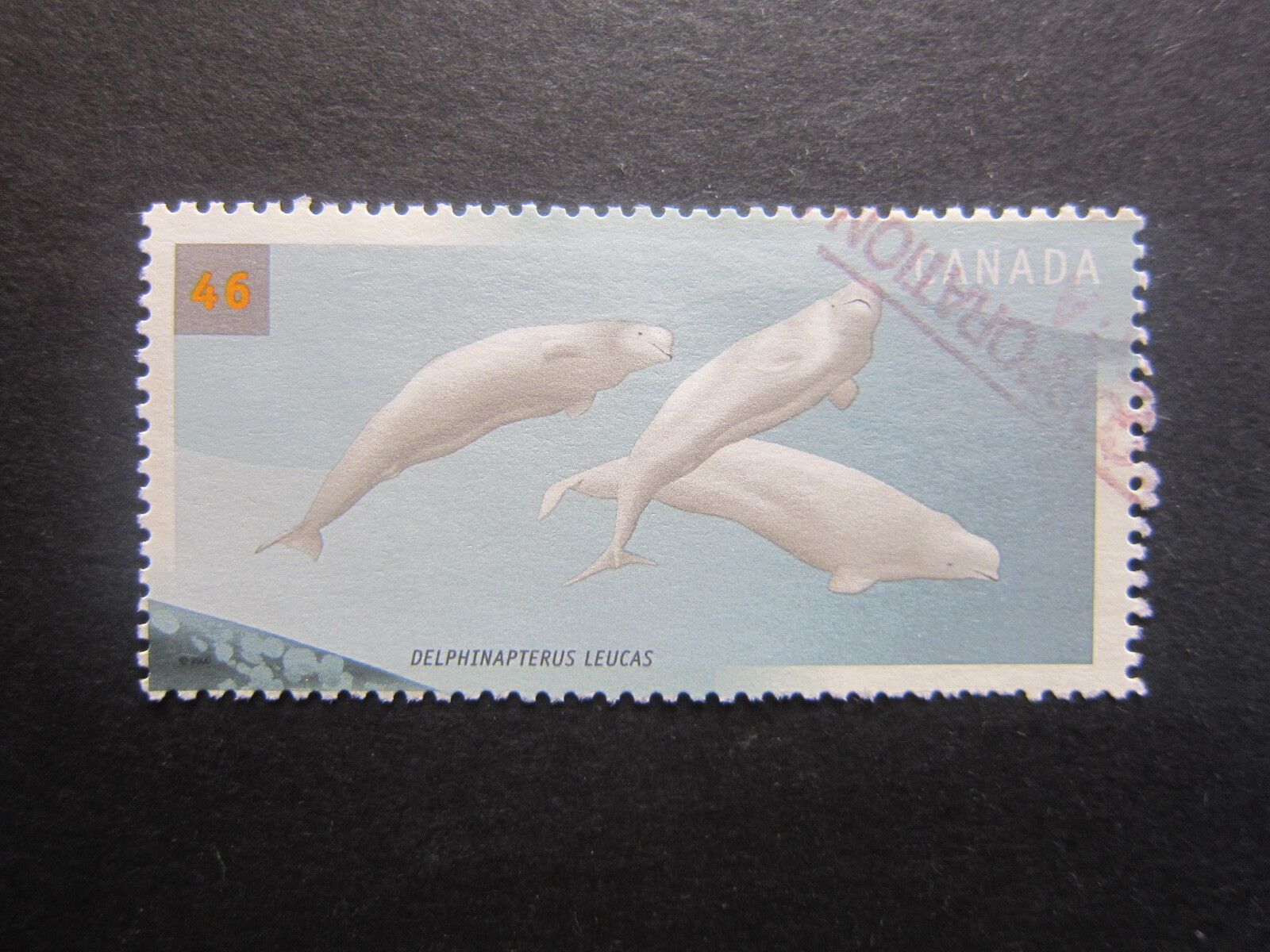 Canada #1871 Whales Nice stamps {ca991} | Canada, General Issue Stamp ...