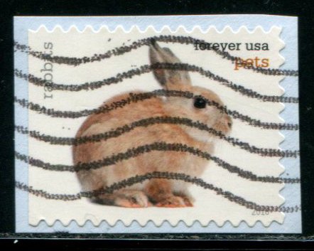 5112 US (47c) Pets SA - Rabbits, used on paper | United States, General ...