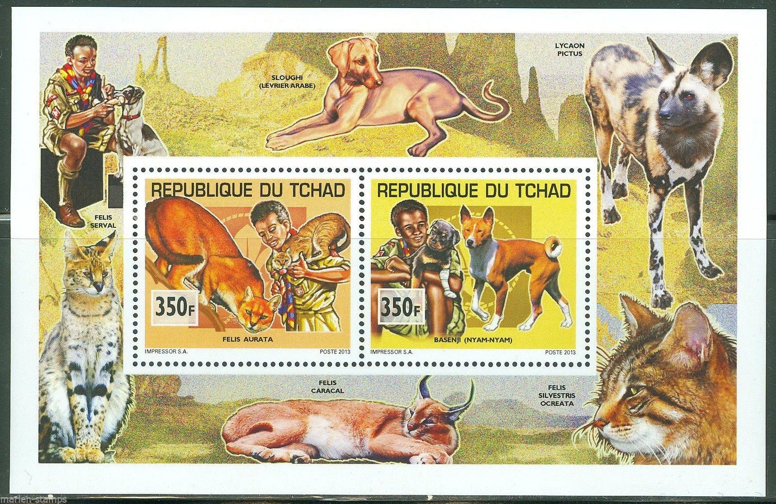 CHAD 2013 BOY SCOUTS DOGS CATS COLLECTIVE SHEET PERF MINT NEVER HINGED ...