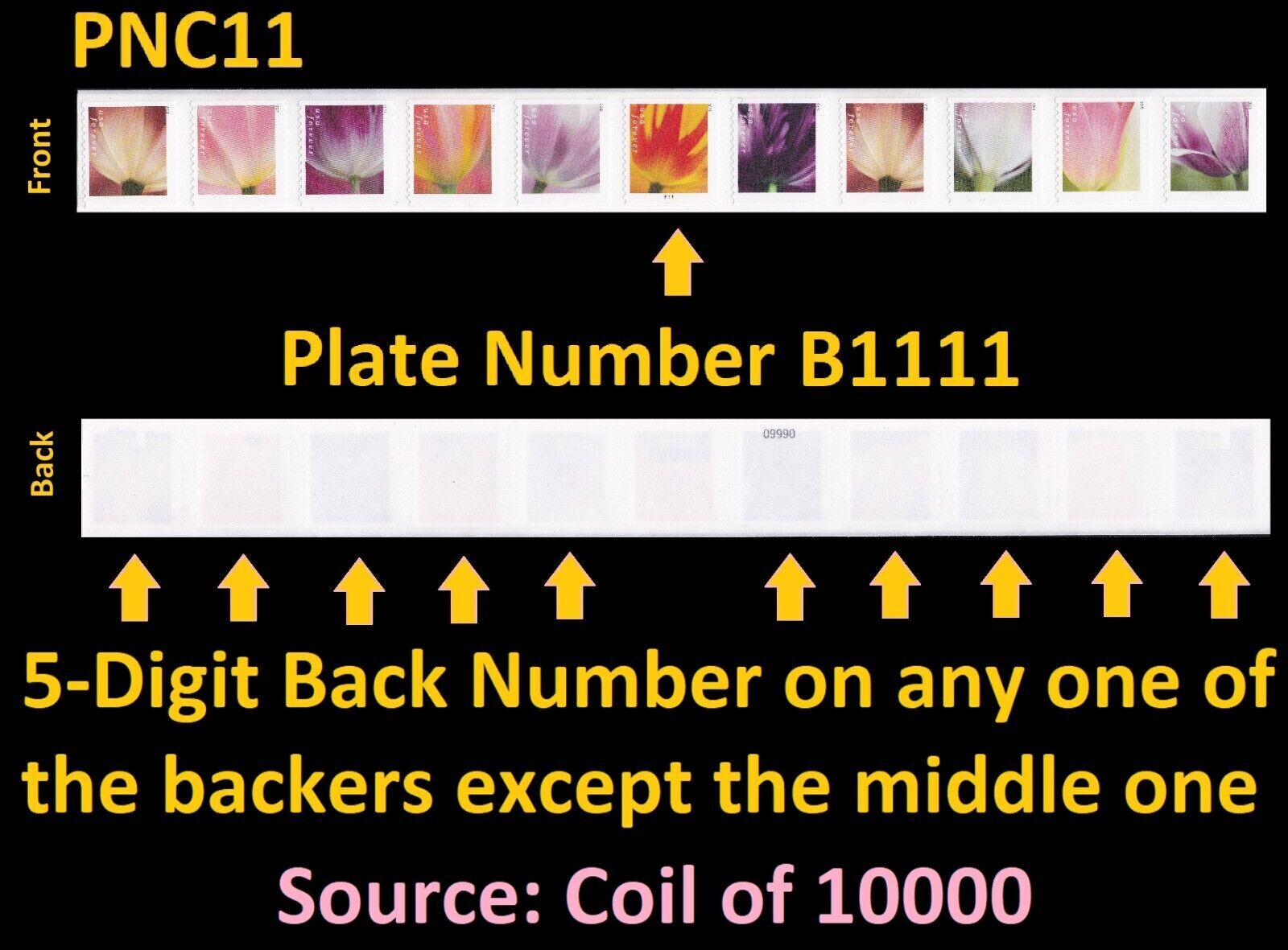 US 5786a Tulip Blossoms forever PNC11 B1111 5-digit back number MNH ...