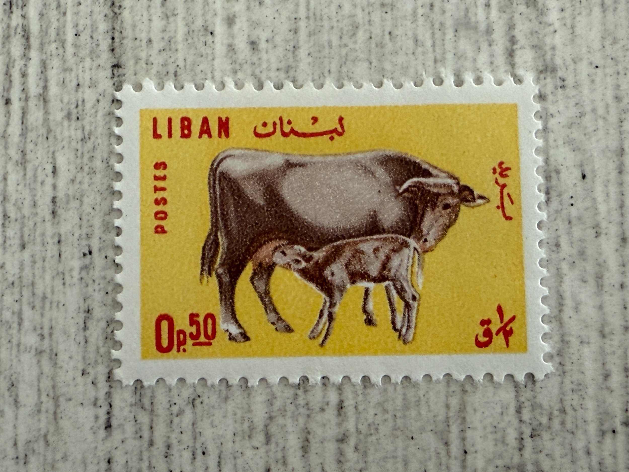 Lebanon #440 MH, 0.50p, Cow and Calf, 2024 SCV.$1.60 | Middle East ...