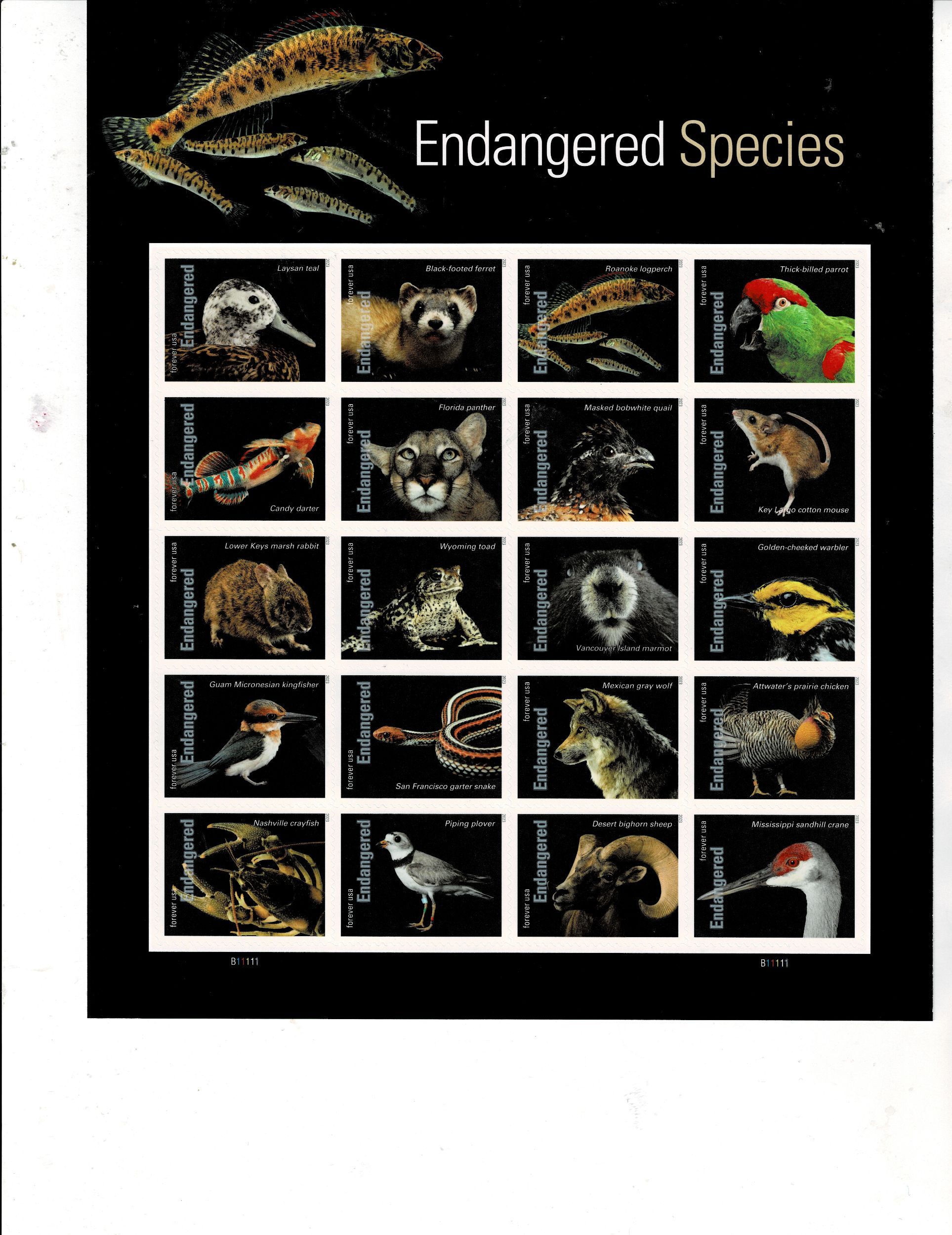 Endangered Species Forever US Postage Sheet of 20 stamps #5800 VF MNH ...