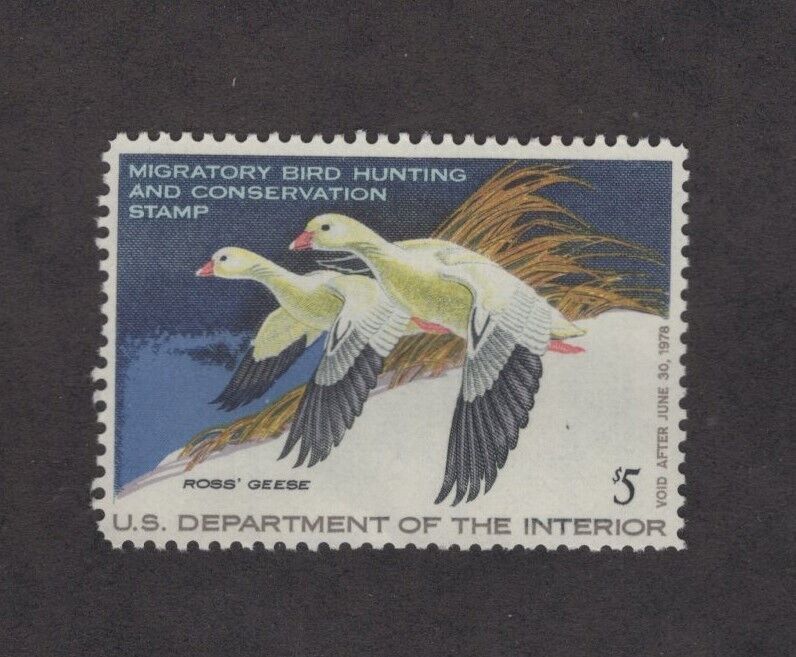 RW44 - Federal Duck Stamp. Single MNH. OG. Nice Centering. #02 RW44 ...
