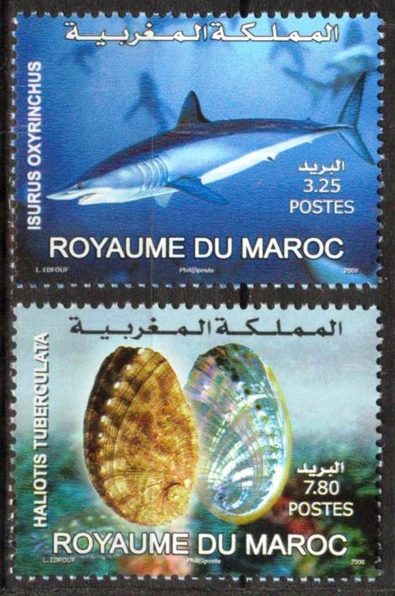Morocco 2008 Marine Life Fishes Sharks Shells Set of 2 MNH | Africa ...