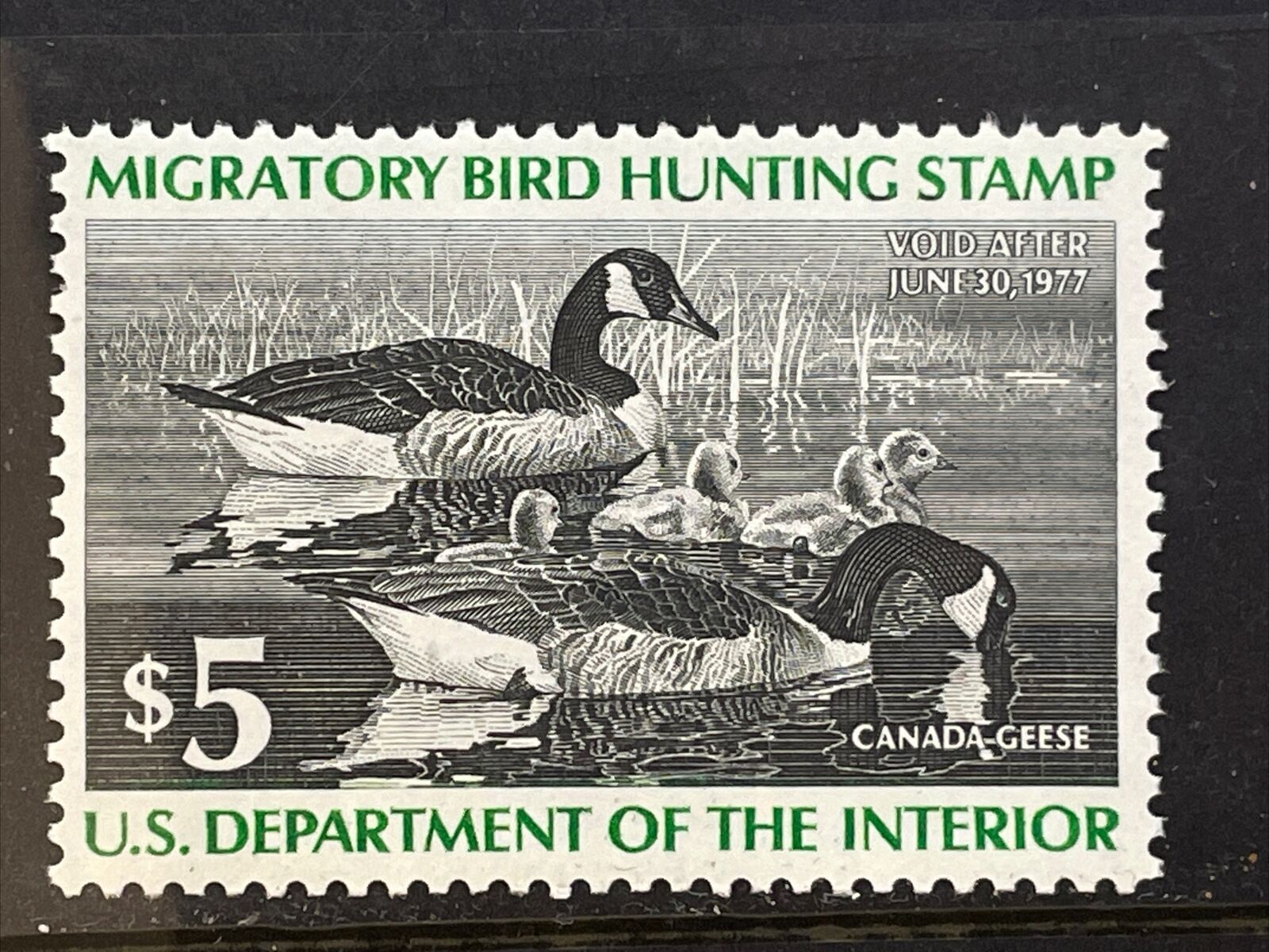 1976 US Federal Migratory Waterfowl Duck Stamp RW43 MNH | United States ...
