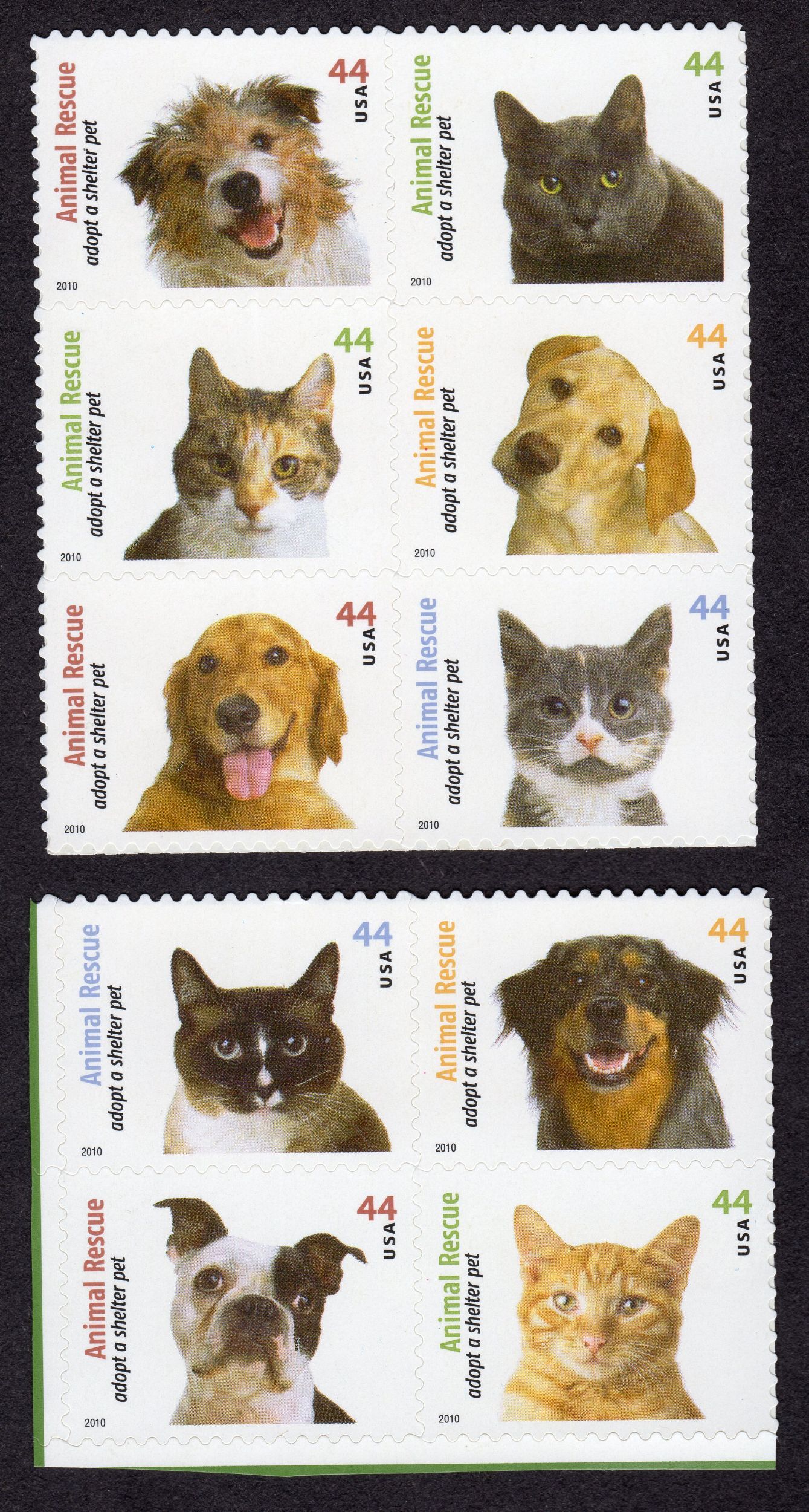 Scott #4460a (4451-60) Animal Rescue Block of 10 Stamps - MNH Separated ...