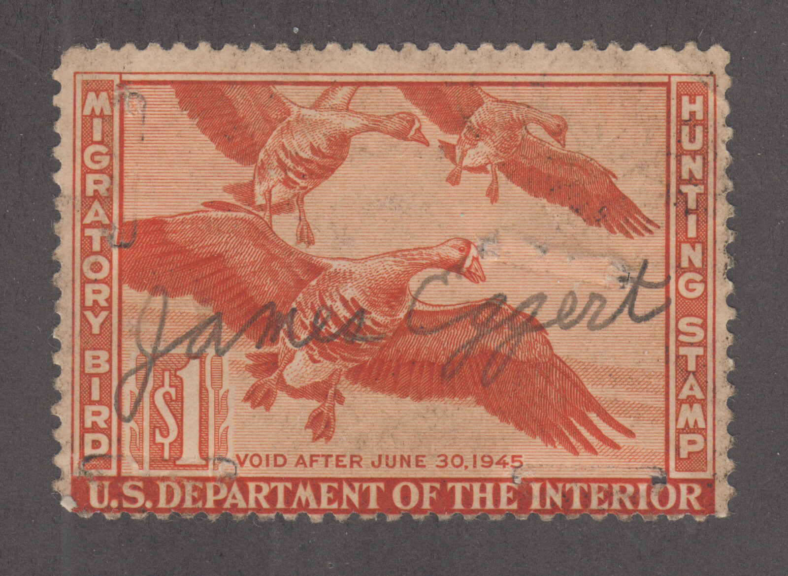 US Sc RW11 used 1944 $1 White Fronted Geese, Duck Stamp, staple holes ...