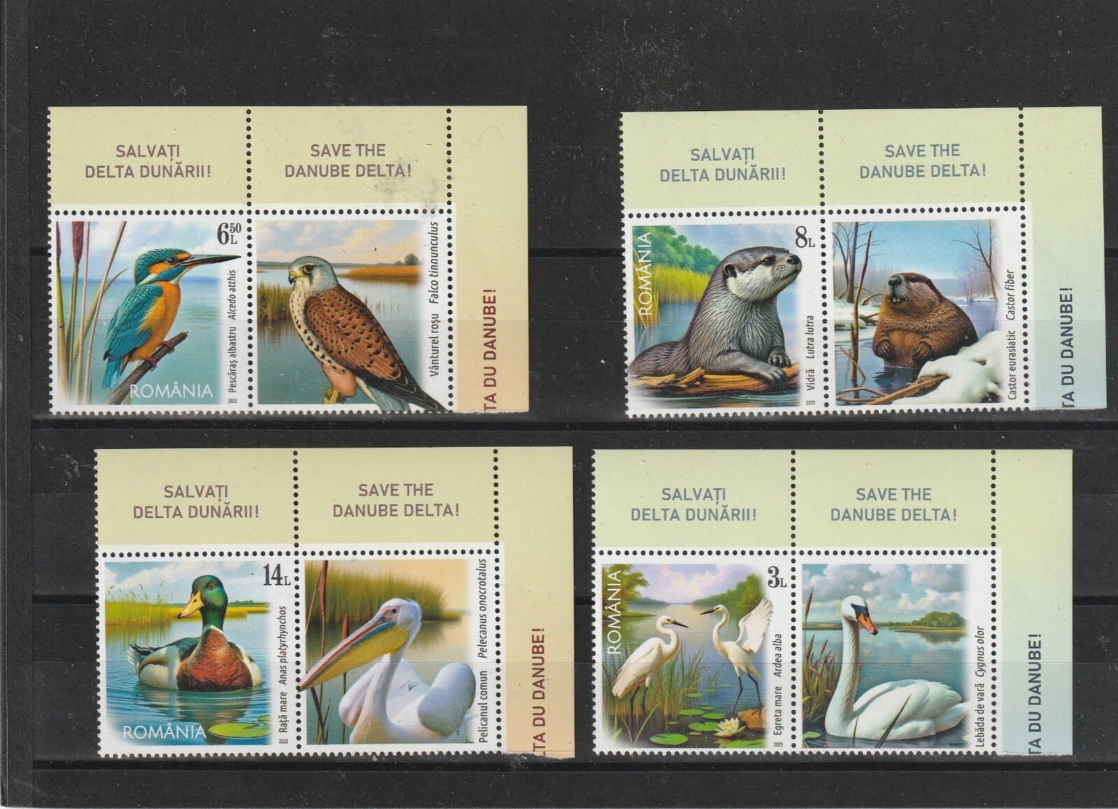 Romania Stamps 2025 Danube Delta Nature Reserve Birds Otter Label MNH ...