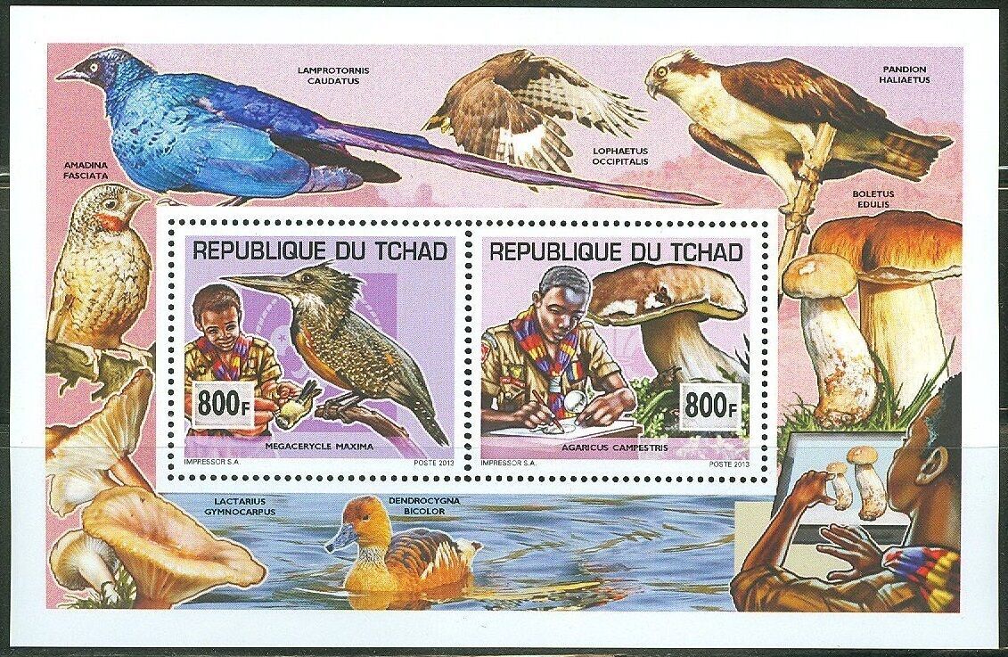 Chad 2014 BOY Scouts Mushrooms & Birds Collective Sheet Mint NH ...