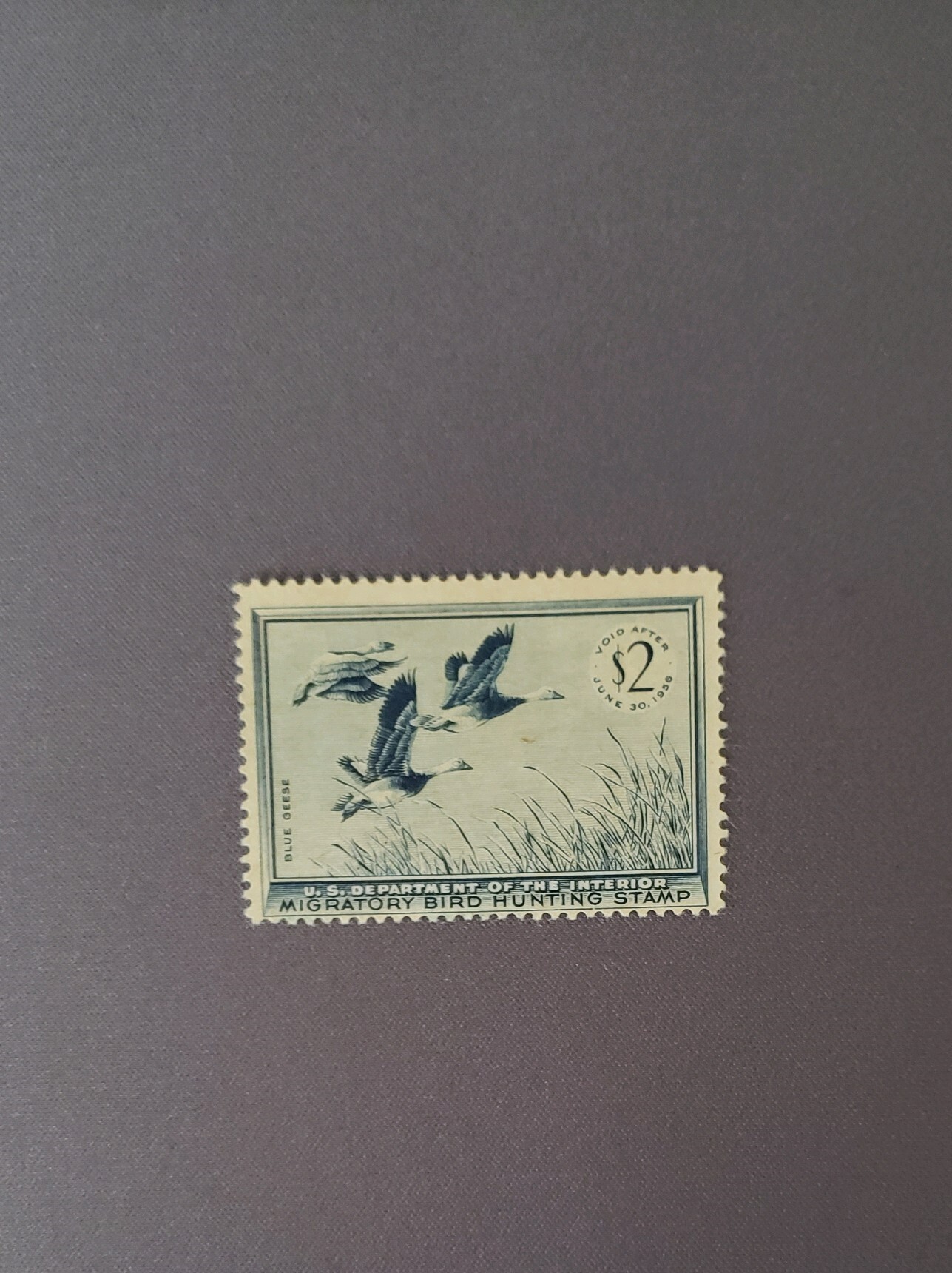 RW22, Blue Goose, Mint OGNH, Fine, CV $80.00 | United States, Duck ...