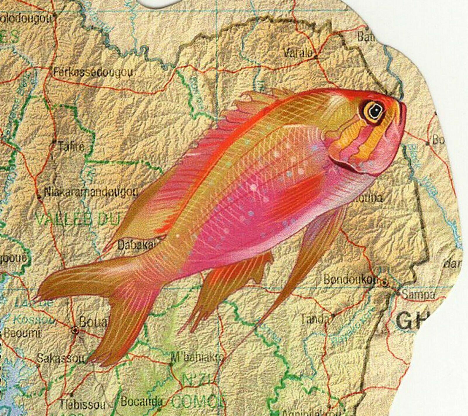 Fishes Stamp Antigonia Capros Marine Fauna S/S MNH #1509 | Worldwide ...