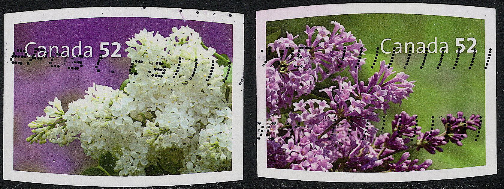 Canada - 2007 - Scott #2207-2208 - used - Flower Lilac | Canada ...