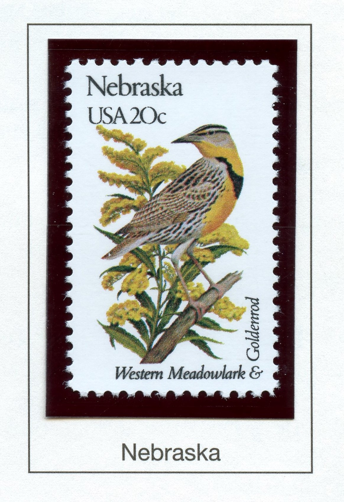 COMPLETE 5 PAGE - SET OF ALL 50 STATE BIRD STAMPS FREE SHIPPING U.S ...